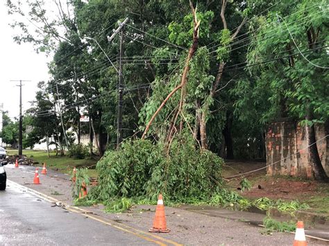 Forte chuva derruba árvores e deixa parte de bairro sem energia em Rio
