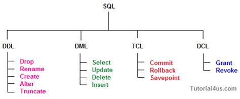 sql commands and data types sql basics dbms tutorial