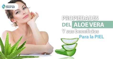 CUÁLES SON LAS PROPIEDADES DEL ALOE VERA Y SUS BENEFICIOS Sorel