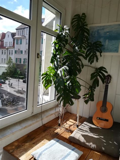 Schönes Zimmer in gemütlicher WG im Damenviertel Wohngemeinschaften