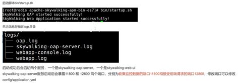 skywalking的安装和使用 skywalking下载 csdn博客