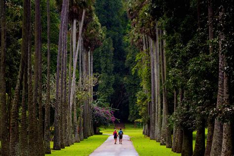 View Beautiful Natural Places In Sri Lanka Backpacker News