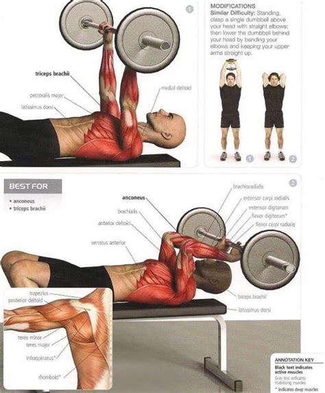 Lista 98 Foto Ejercicios Para Aprender Las Partes Del Cuerpo En