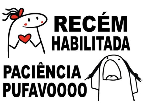 Presente Para Quem Tirou Carteira De Motorista Ideias Divertidas