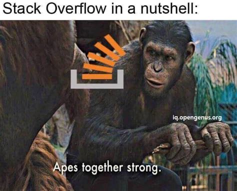 Stackoverflow Memes