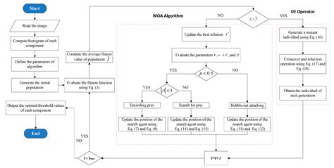 entropy free full text kapur s entropy for color image segmentation based on a hybrid whale