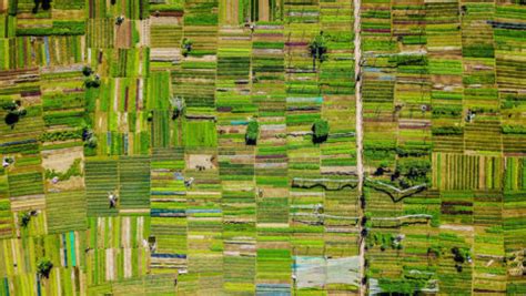 Axa Climate Lance Altitude Agriculture Le Er Outil Quantifiant L