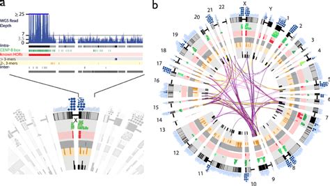Alpha Satellite Annotation In The Human Genome Assembly A As