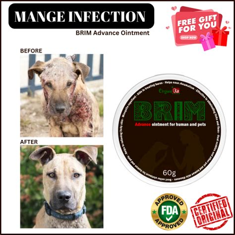 Safe And Effective BRIM Advance Ointment For Human And Pets Non Toxic