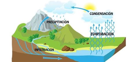 Ciclo Del Agua Qu Es Etapas Y Caracter Sticas