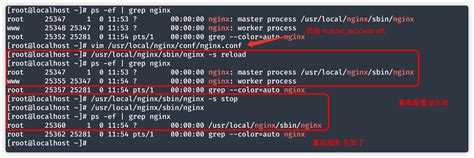 nginx 全局块配置 worker 进程的两个指令 nginx worker process csdn博客
