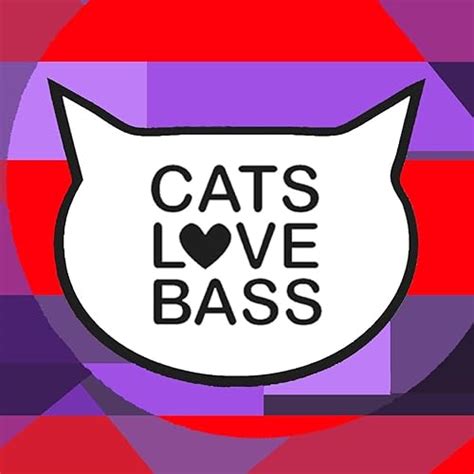 Evita Lima By Too Guys On Amazon Music Uk