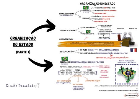 Organização do Estado Direito Constitucional Resumo Completo