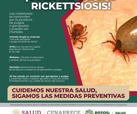 GOBIERNO LANZA CAMPAÑA PARA PREVENIR LA RICKETTSIOSIS El Cuarto Poder