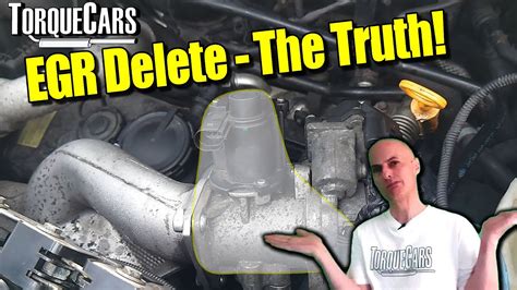 Egr Delete Egr Removal Worth The Risk Effort All You Need To Know