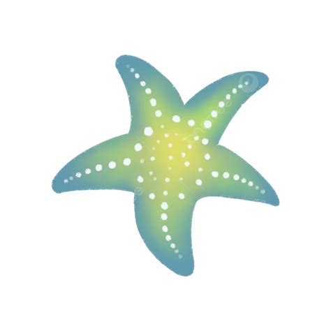 Linda Estrela Do Mar Png Estrela Do Mar Oceano Ilustra O Do Oceano