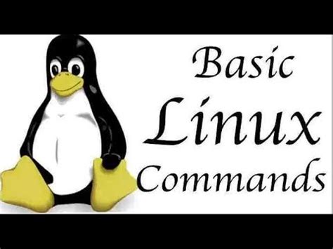 Basic Linux Commands For Beginners Troubleshooting RHEL7 REDHAT