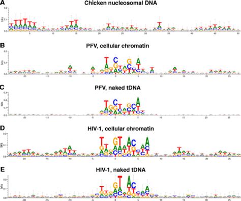Sequence Logos For Pfv And Hiv Integration Sites In Nucleosome Free