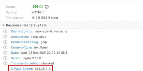 How To Set Up Nginx With Google Pagespeed Module On Debian