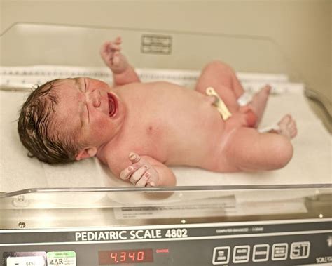 Cold Birth Healthy Scream Individuality Newborn Baby Boy