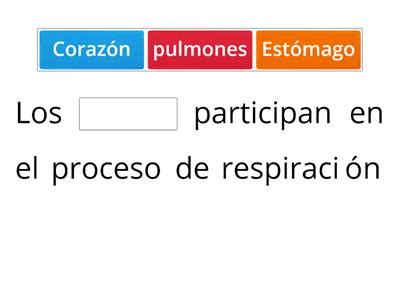 Los 5 sentidos y sus funciones Recursos didácticos