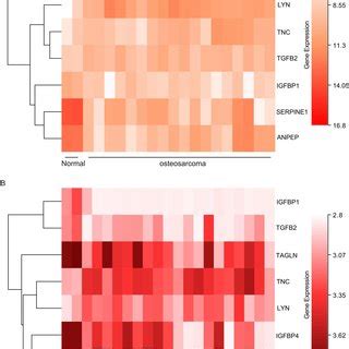 The Expression Analysis For The Hub Genes A The Heat Map Showed The