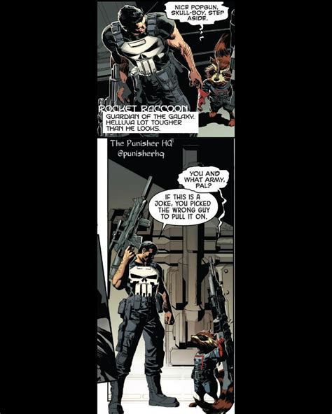 The Punisher HQ On Twitter Who Wants A Punisher Rocket Raccoon Story