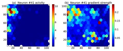 gradient analysis sensitivity decreases with activity a place field download scientific