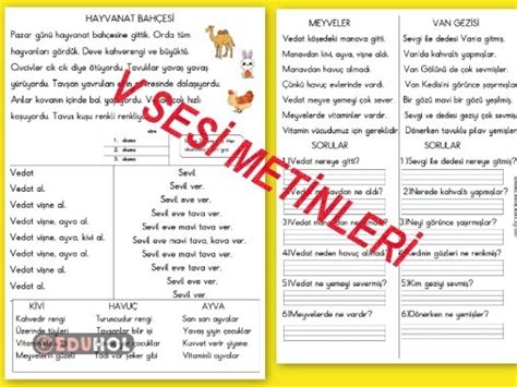 V Sesi Hızlı Okuma Ve Okuduğun Eduhol Etkinlik İndir Oyun Oyna