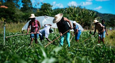 Agricultura familiar o que é suas características e importância