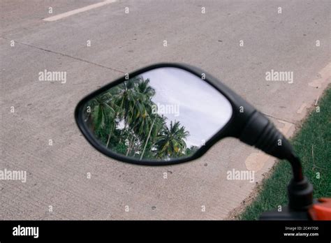 A Parked Scooter Reflects Tall Roadside Palm Trees In Its Side Mirror