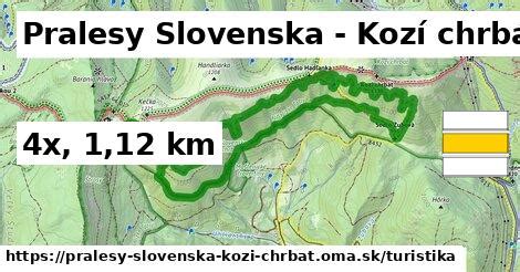 Pralesy Slovenska Kozí chrbát Turistické trasy oma sk