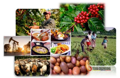 Economía De La Región Andina Tierra Colombiana