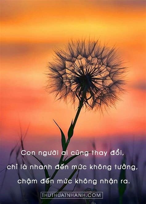 Bộ Sưu Tập Hình Ảnh Mệt Mỏi Chán Nản Hai Huoc Hay Nhất Chia Sẻ Với Hơn