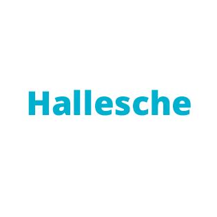 Hallesche Krankenversicherung Erfahrungen Tarifüberblick 2024