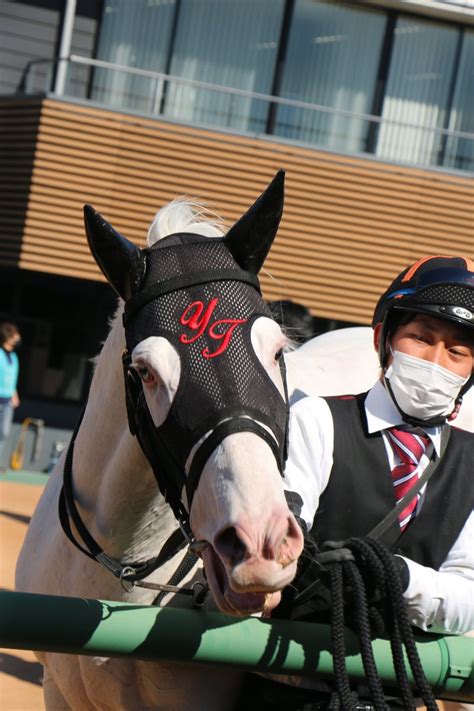 サイシンキリカ on Twitter RT yuu ka5963 中山5R アオラキ君の唐突なファンサに狂喜乱舞のグランプリロード