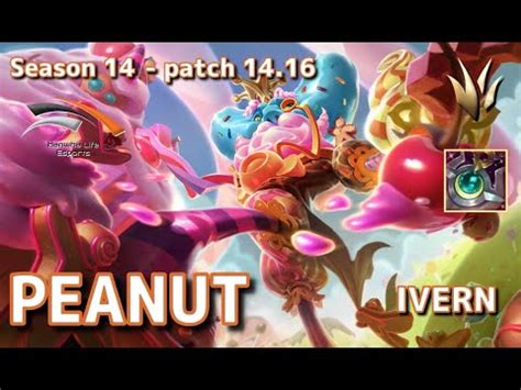 Kr Gmhle Peanut Ivern Vs Leesin Jg Patch Kr
