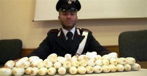 Fiumicino Arrestato Un Corriere Della Droga Con Cento Ovuli Di Eroina