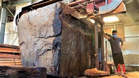 Amazing Sawmill Wood Cutting Giant Wood Factory Powerful Chain Saw