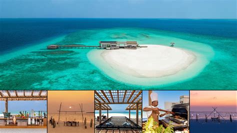 Discover Alila Maldives Shack Your Ultimate Sandbank Escape