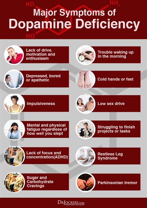 6 Great Foods That Increase Dopamine Levels DrJockers