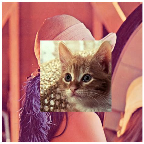 basic image manipulating using pil and opencv hasan s post