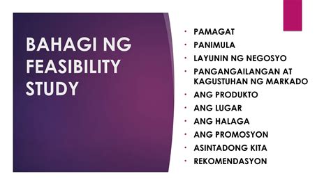 FILILINO SA PILING LARANG FEASIBILITY STUDY PPT