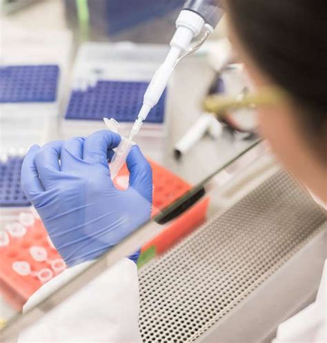 Learning Center Intro To Immunology And Immune Sequencing