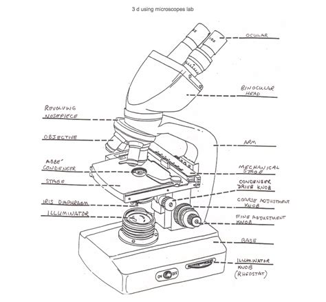 A P Lab Test Microscope Diagram Quizlet