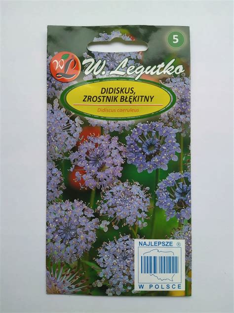 DIDISKUS BŁĘKITNY roślina pojemnikowa nasiona 8678497300 oficjalne