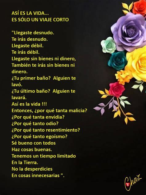 Pin Av Lety P P Dia De Muertos
