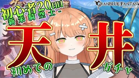 グラブル 初心者 ガチャ 名人教えてグランデフェス天井ガチャオススメキャラ教えて vtuber 新人vtuber