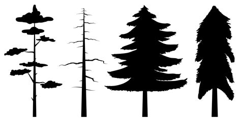 Arbre De Branche Noire Ou Ensemble De Silhouettes D Arbres Nus