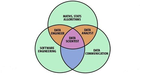 Data Scientist Vs Analyst Vs Engineer A Complete Guide Tutorial
